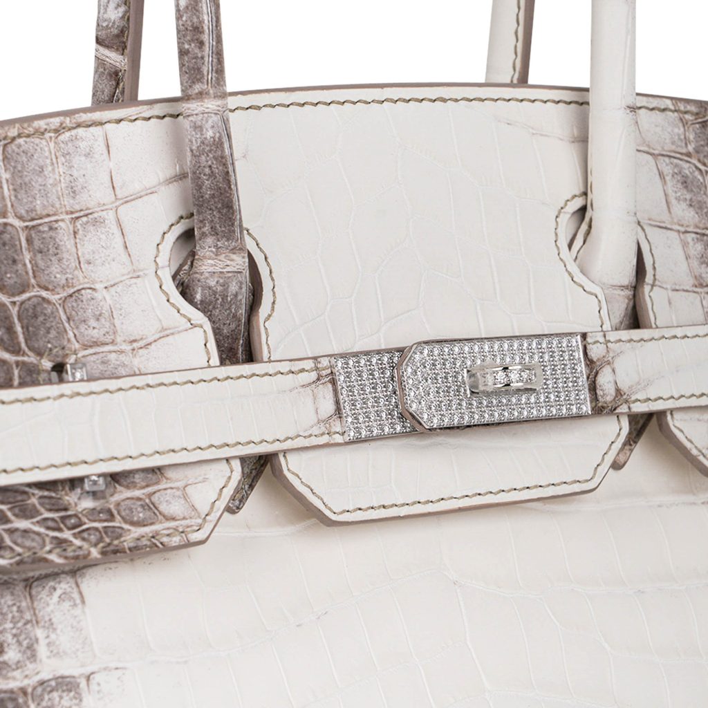 Hermes Birkin 30 Bag Diamond Himalaya Blanc Matte Niloticus Crocodile ...